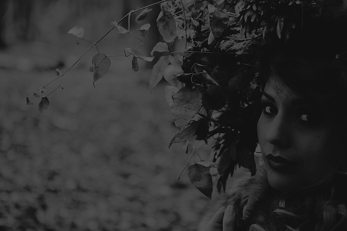 Vertical-Contact-Background | Joel Schilling Photography